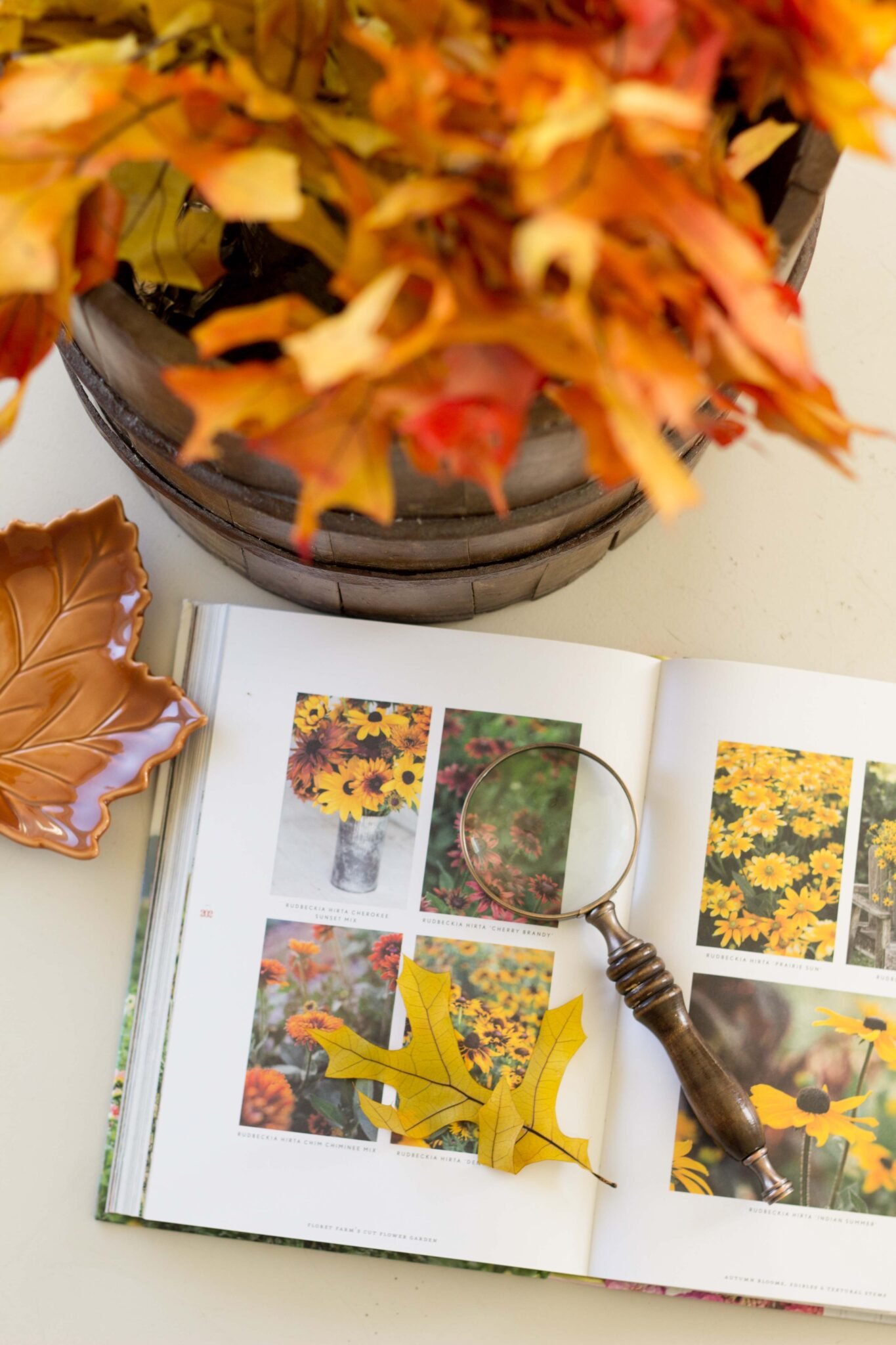 15 Fall Hygge Ideas for Home - Handmade Farmhouse