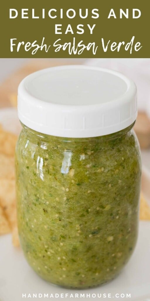 Easy Roasted Tomatillo Salsa Verde - Handmade Farmhouse