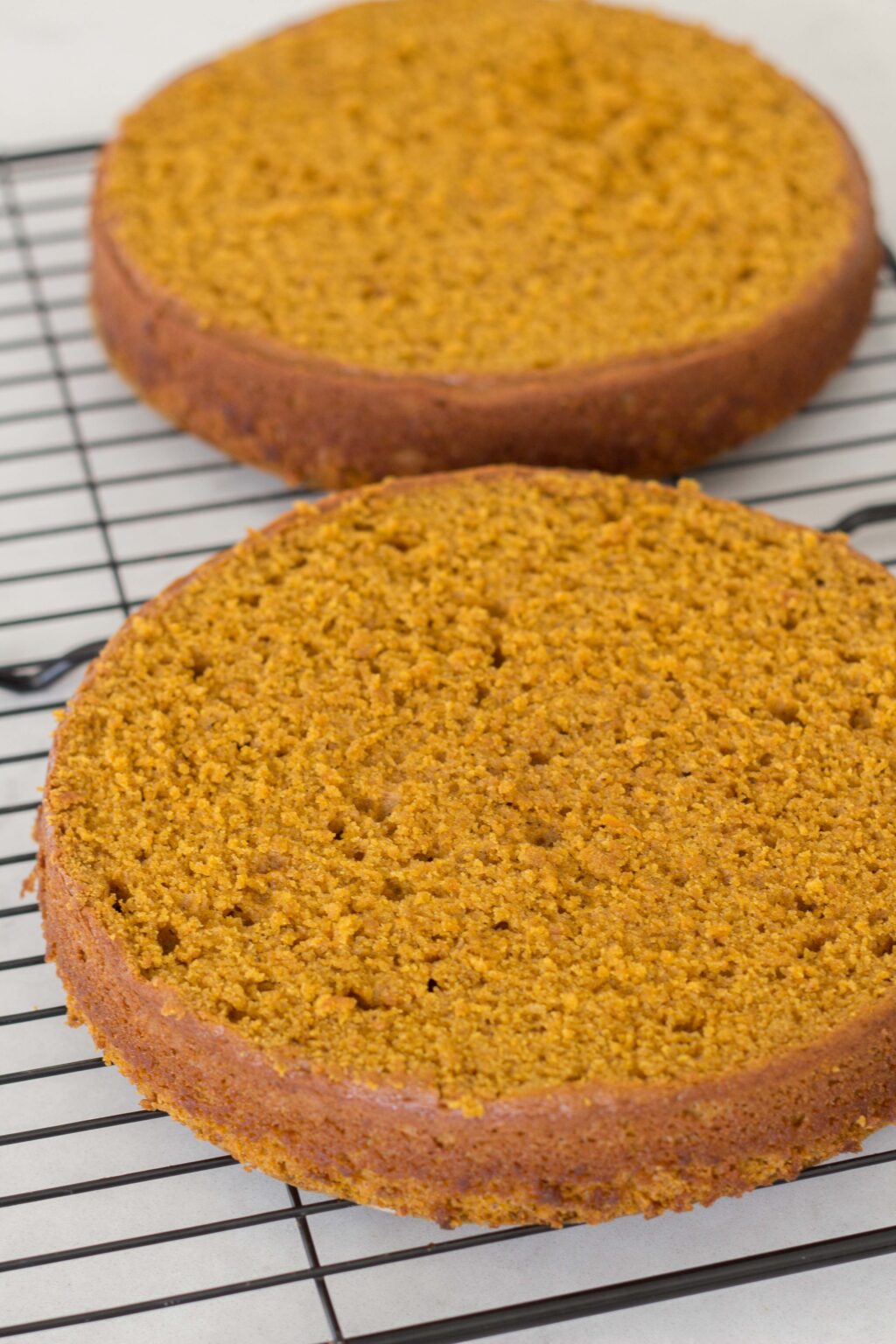 Old Fashioned Pumpkin Gingerbread Cake - Handmade Farmhouse