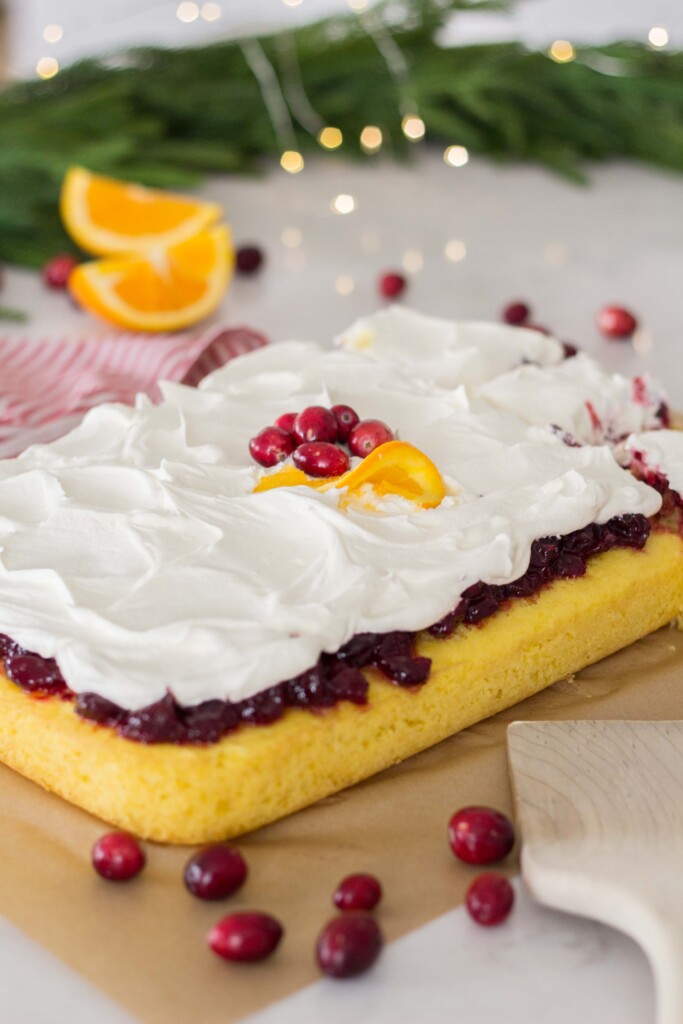 Easy Cranberry Citrus Cake - Handmade Farmhouse