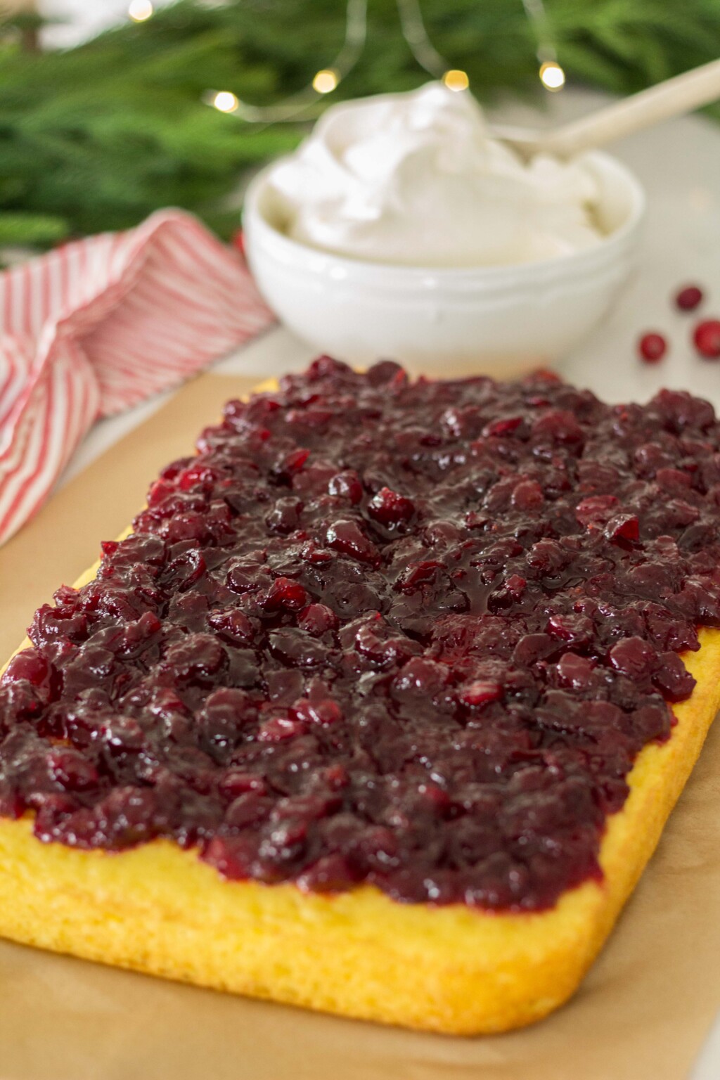 Easy Cranberry Citrus Cake - Handmade Farmhouse