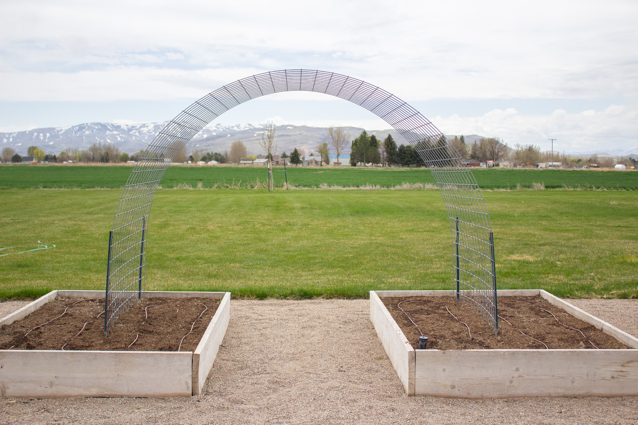 Easy DIY Utility Panel Garden Arch Trellis - Handmade Farmhouse