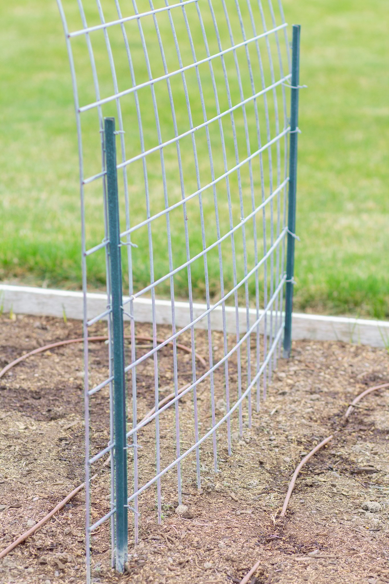 Easy DIY Utility Panel Garden Arch Trellis - Handmade Farmhouse