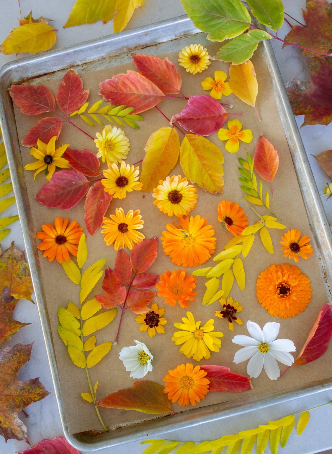 DIY Fall Pressed Leaf Lantern - Handmade Farmhouse